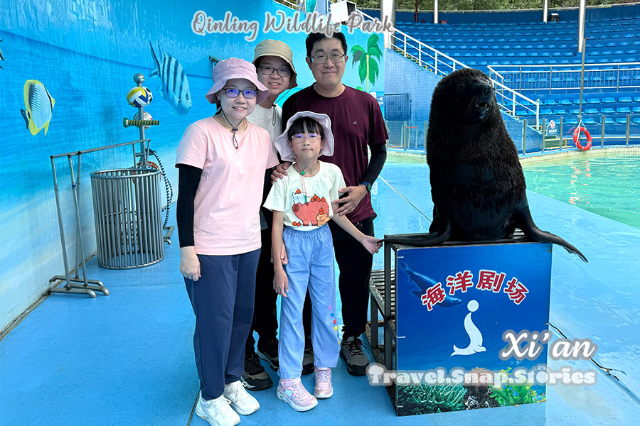China Xian Day 3 Qinling Wildlife Park – Travel.Snap.Stories